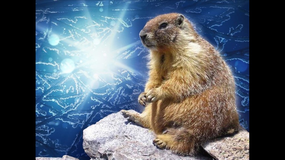 Punxsutawney Phil: Expect an Early Spring | 5newsonline.com