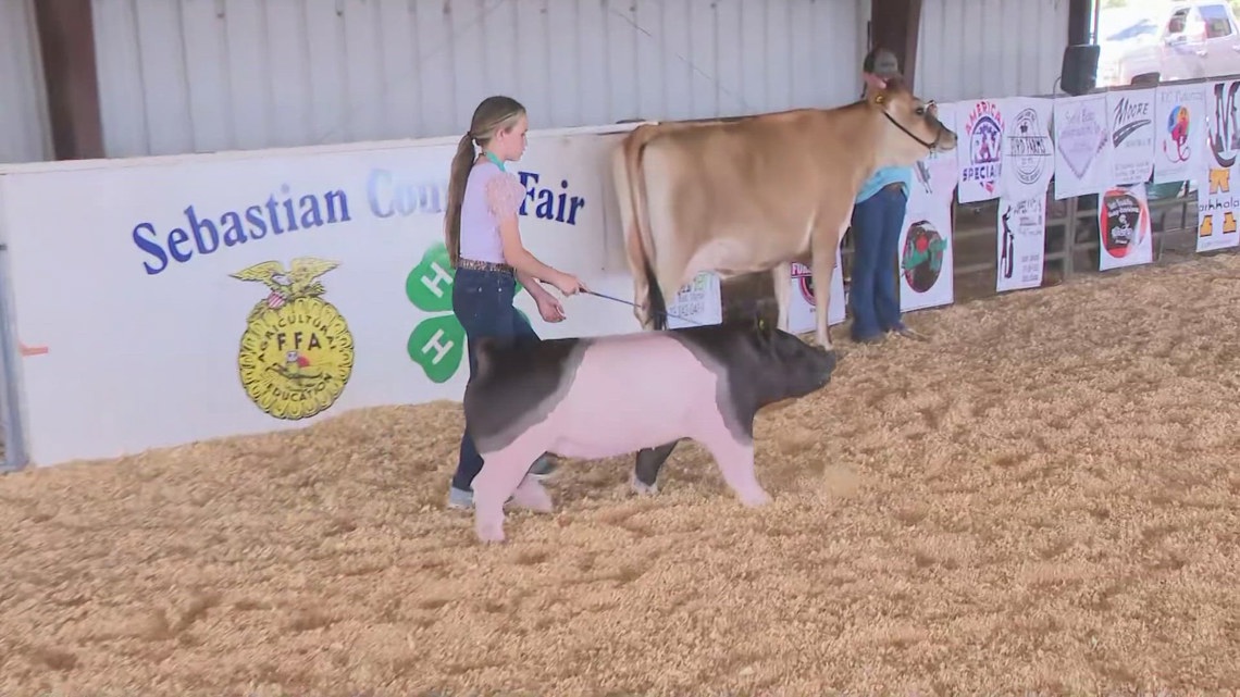 Sebastian County Fair to kick off livestock show tonight | 5newsonline.com