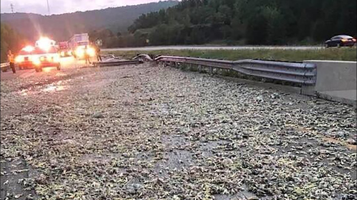 Massive amount of chicken waste spills across I-49 near Chester ...