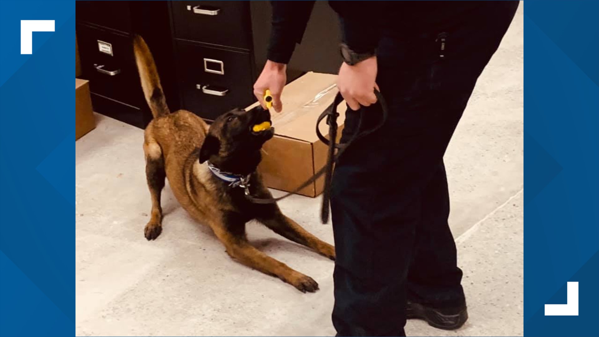 Barling Police Department to host Safety Night Out | 5newsonline.com