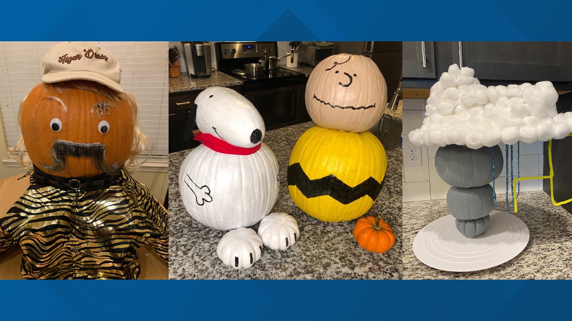 Winner announced: 5NEWS morning team pumpkin decorating contest ...