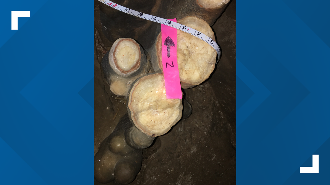 Significant Damage to Fitton Cave Discovered at Buffalo National ...