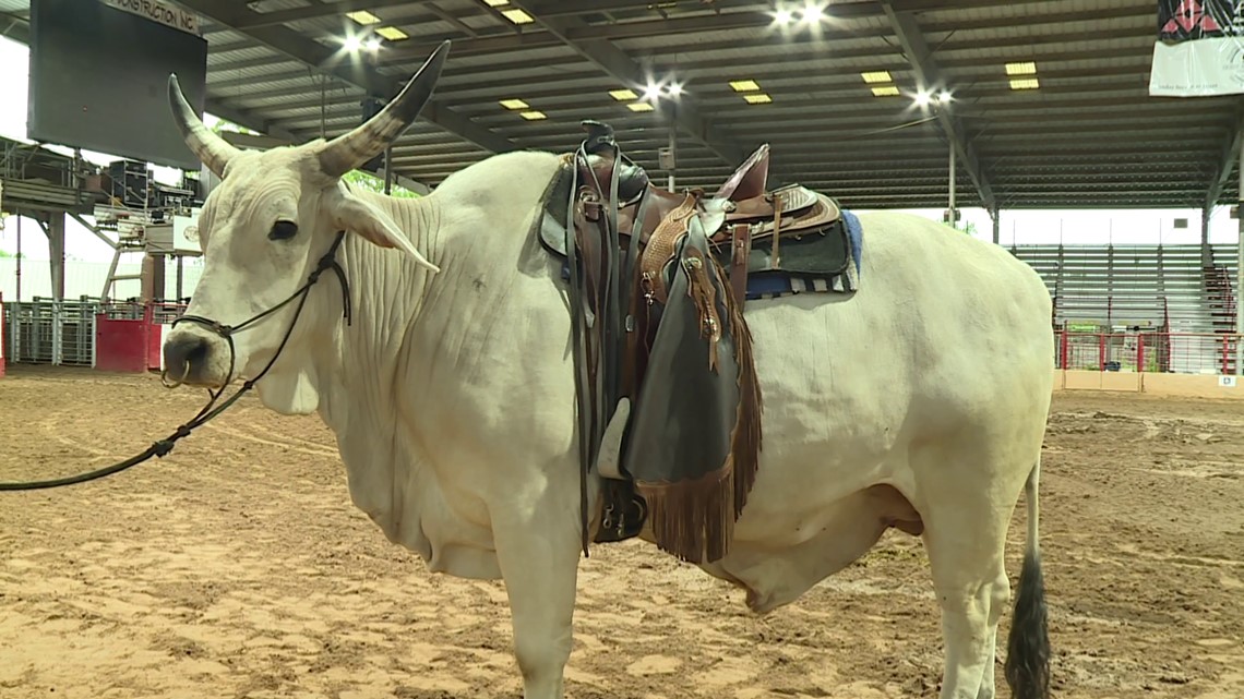 89th annual Old Fort Days Rodeo in full swing | 5newsonline.com