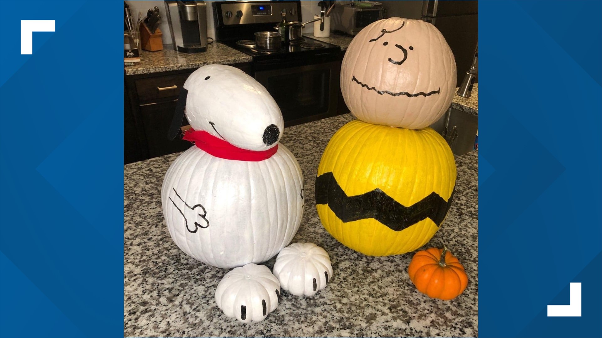 Winner announced: 5NEWS morning team pumpkin decorating contest ...