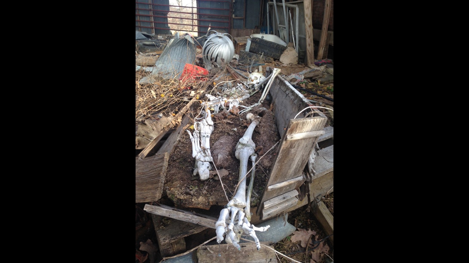 LeFlore County Family Finds Human Skeleton In Their Barn | 5newsonline.com