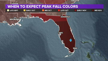 State-By-State | When can you expect the fall foliage to hit peak ...