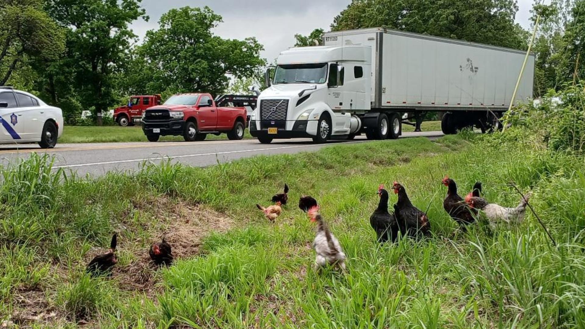 An 18-wheeler carrying chickens overturned on Highway 72 in Gravette ...