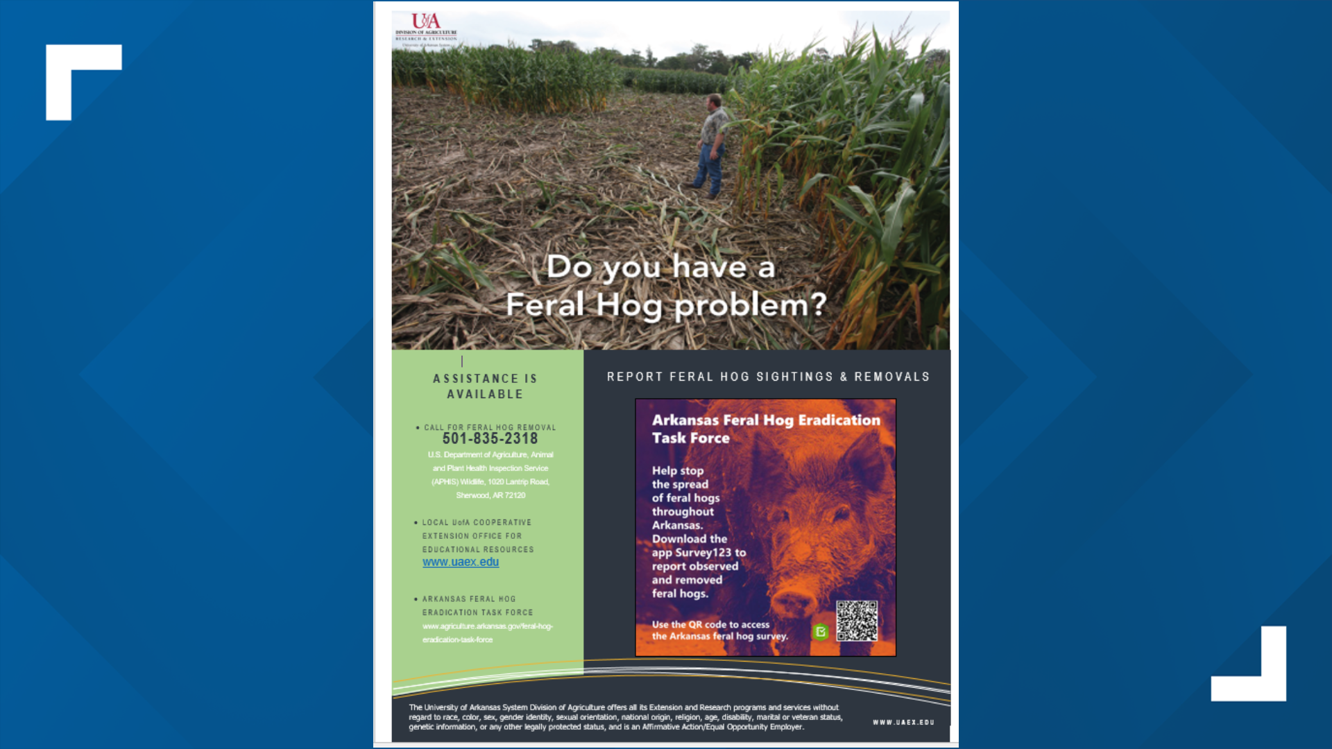 AGF creates new way to track feral hogs in Arkansas | 5newsonline.com