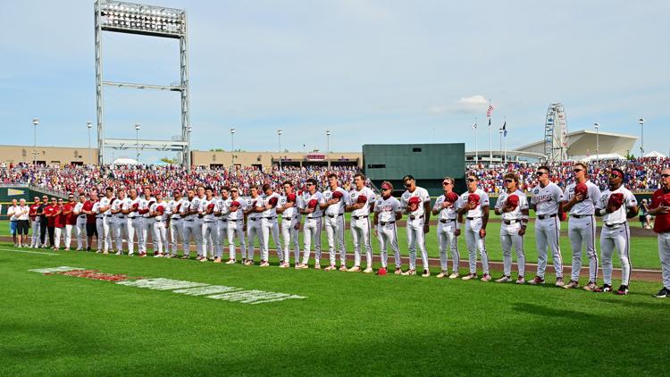 Tusk VI, the newest University of Arkansas razorback mascot ...