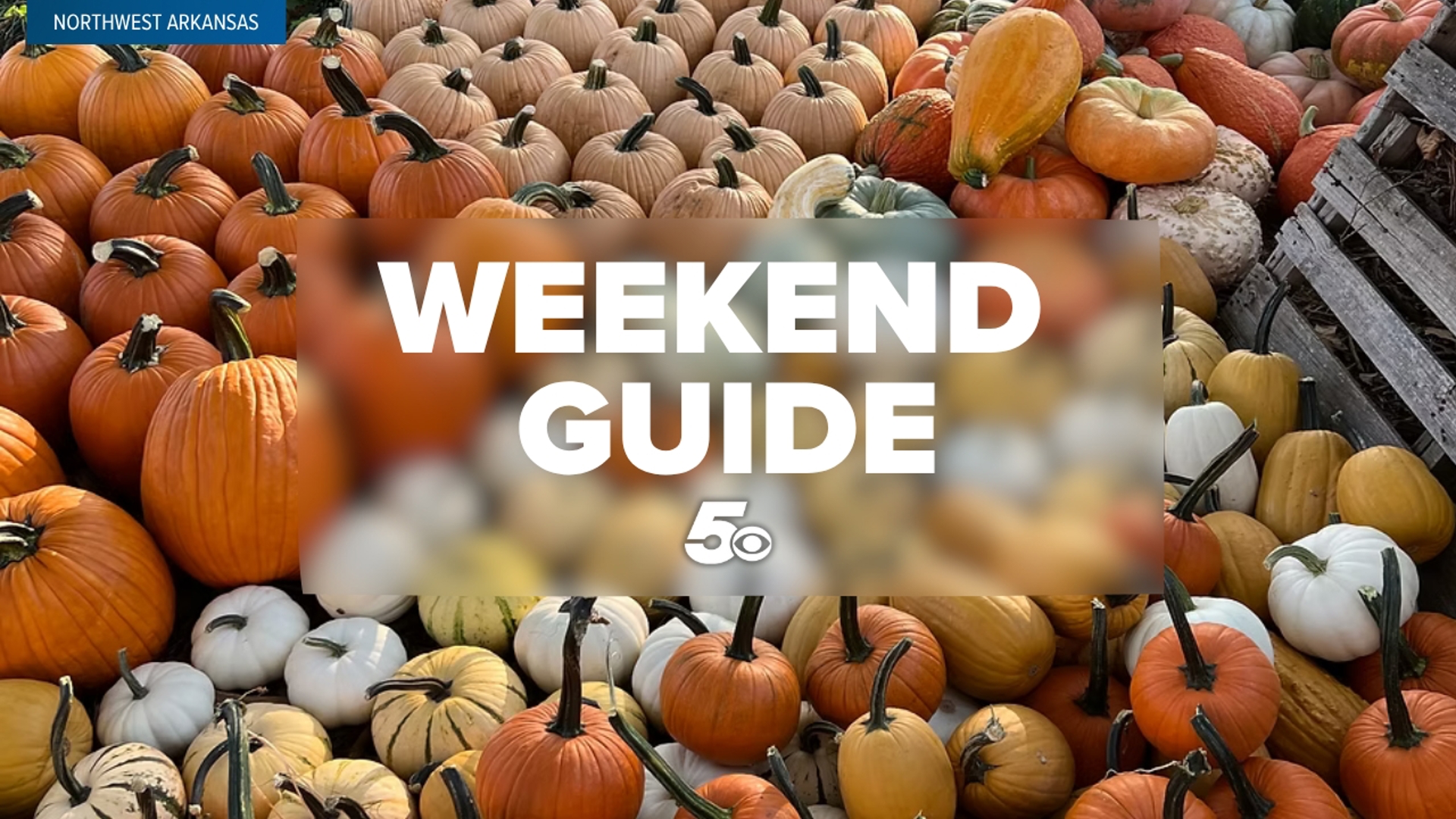 Things to do in Northwest Arkansas this weekend | 5newsonline.com
