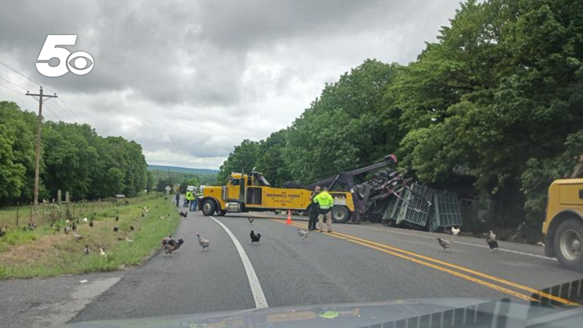 Dozens of chickens on the loose after Gravette 18-wheeler rollover ...