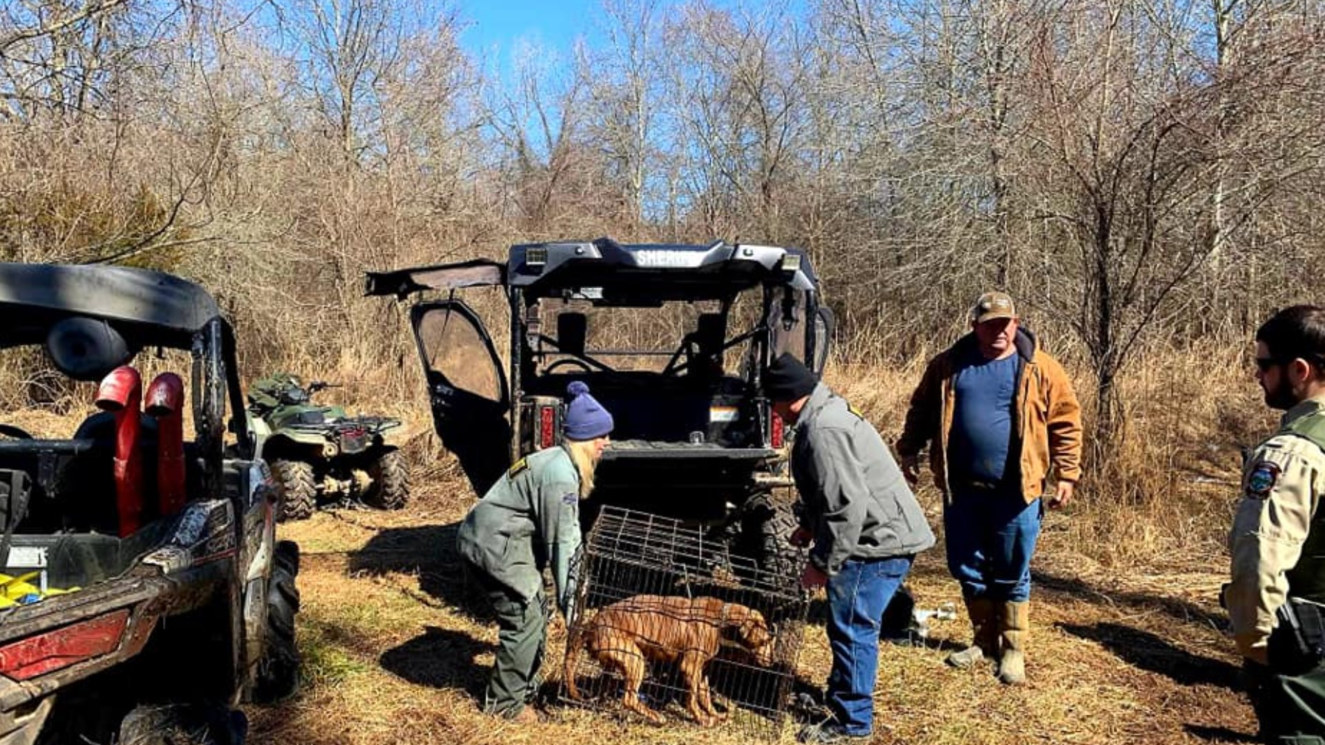 Johnson County Sheriff's Office searches for missing man | 5newsonline.com