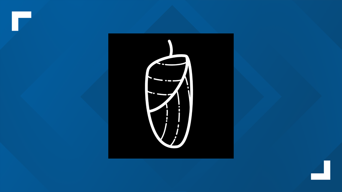 Cocoon Yoga Lab survives the pandemic with a plethora of pivots ...