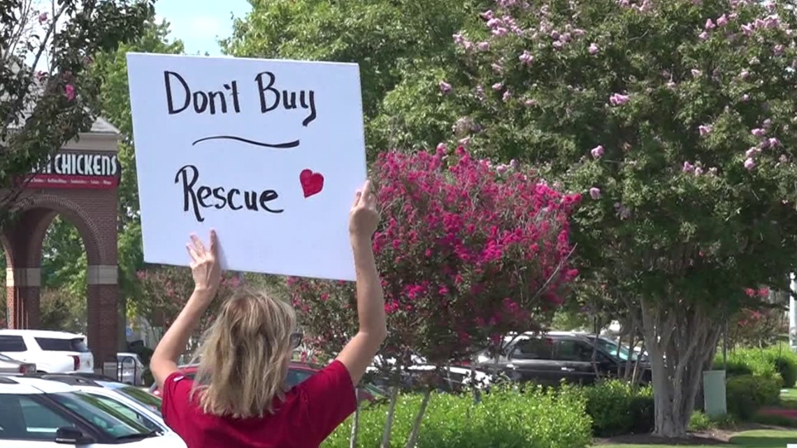 New law prevents cities from banning the retail sale of pets ...