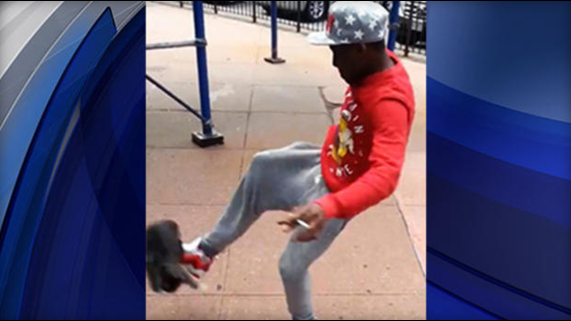 Man Arrested After Video Of Cat Being Kicked Goes Viral | 5newsonline.com