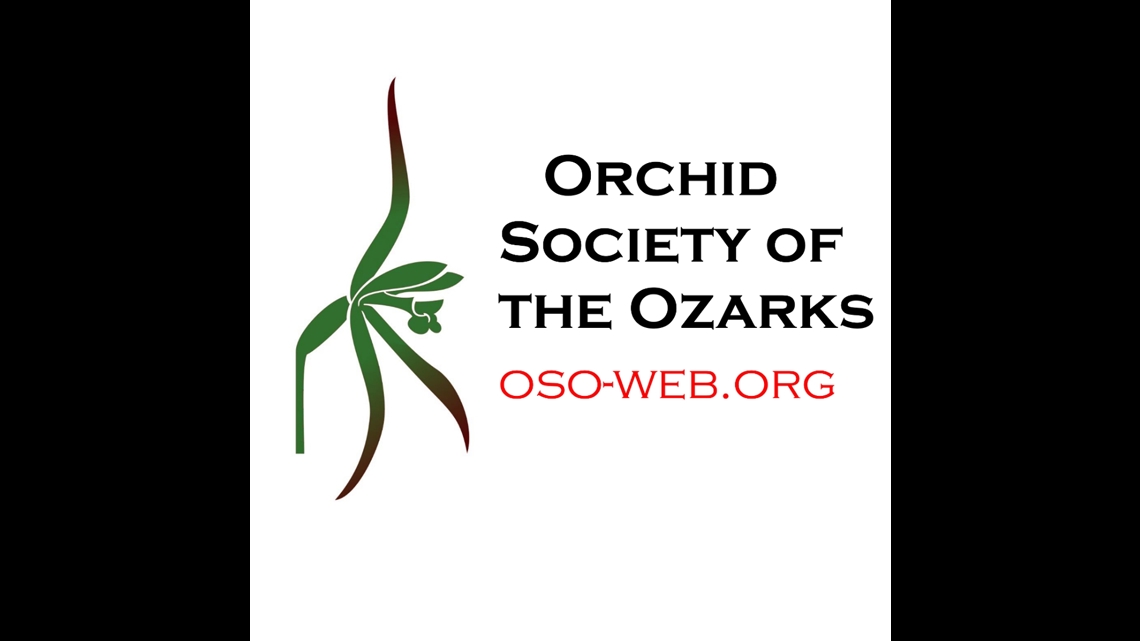 The Orchid Society of the Ozarks hosting its 14th annual Orchid Show ...