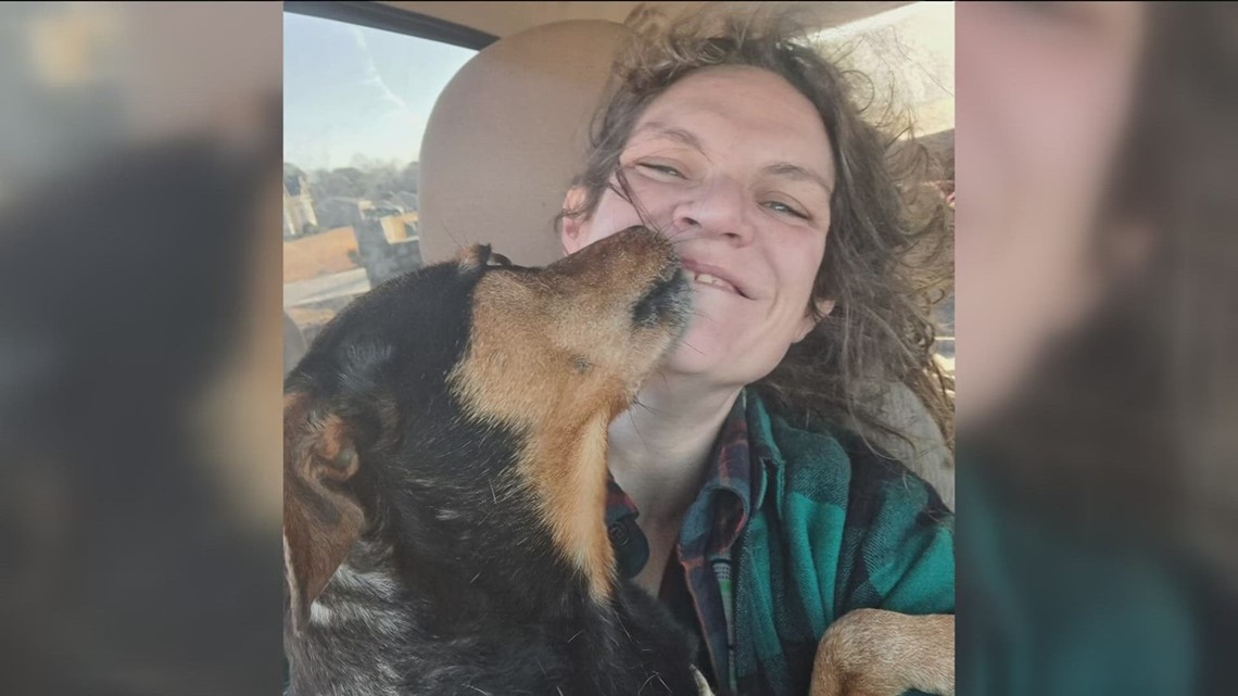 Dog missing from Arkansas found in North Carolina a week later ...