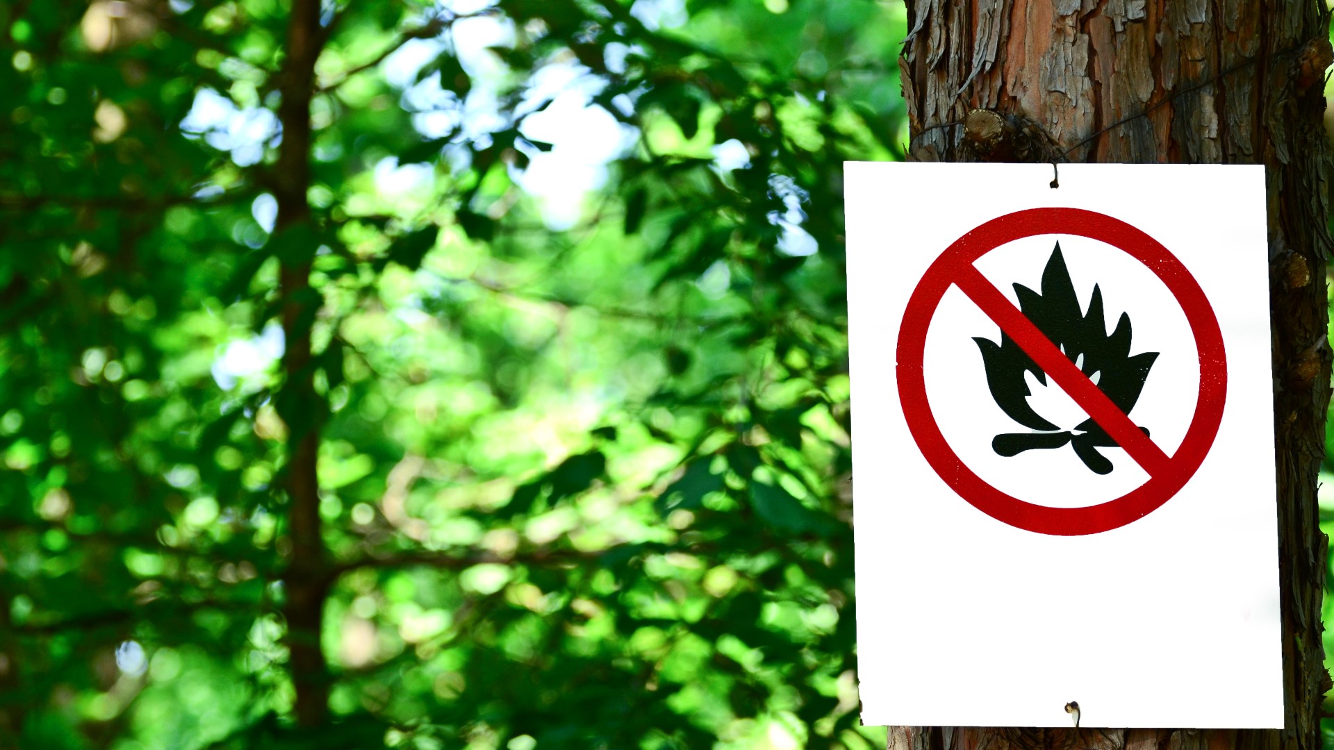 Advertise with 5NEWS KFSM | Fort Smith, Arkansas | 5newsonline.com