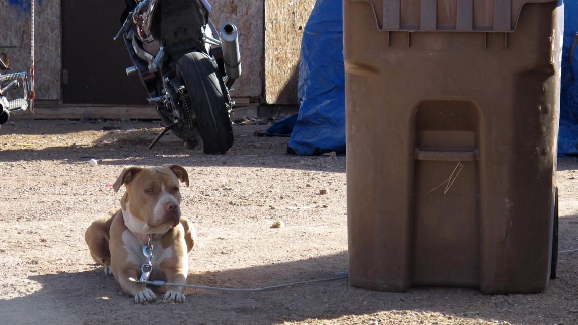 Humane Tether Law filed by Oklahoma representatives | 5newsonline.com