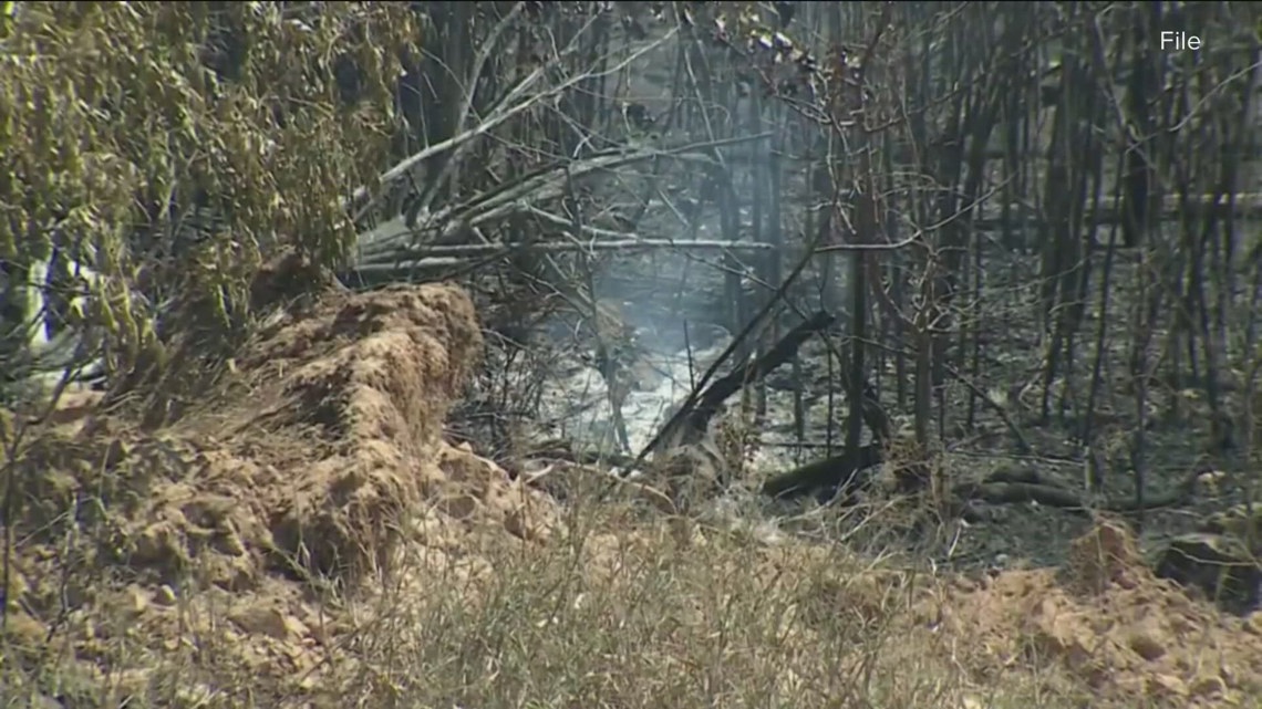 Collaboration is key to Arkansas wildfire preparedness | 5newsonline.com