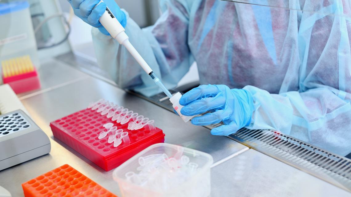 A look into the Morgan Nick DNA breakthrough | 5newsonline.com