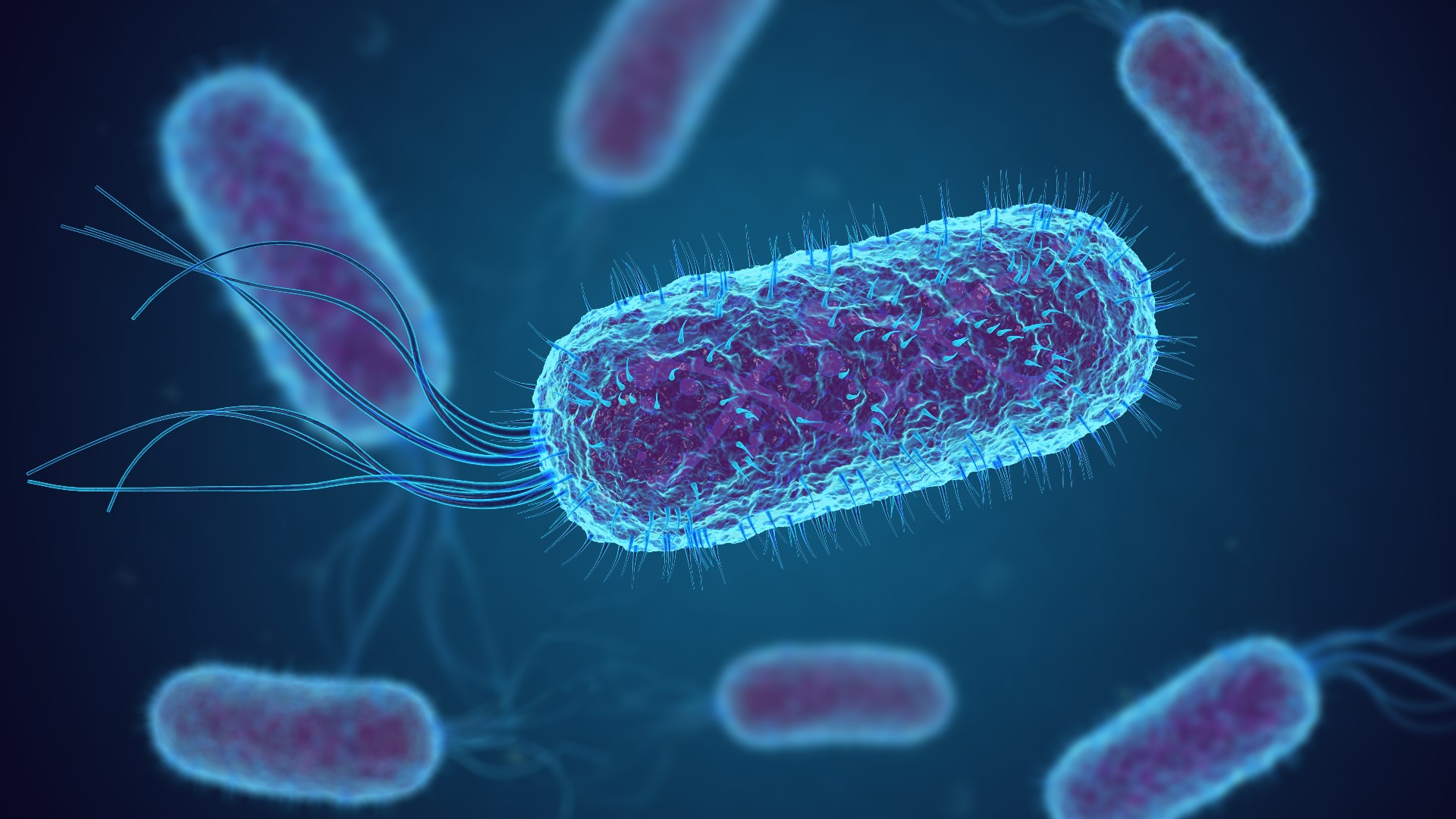 E Coli Outbreak In Northwest Arkansas Being Investigated 5newsonline E Coli Outbreak In Northwest Arkansas Being Investigated 5newsonline