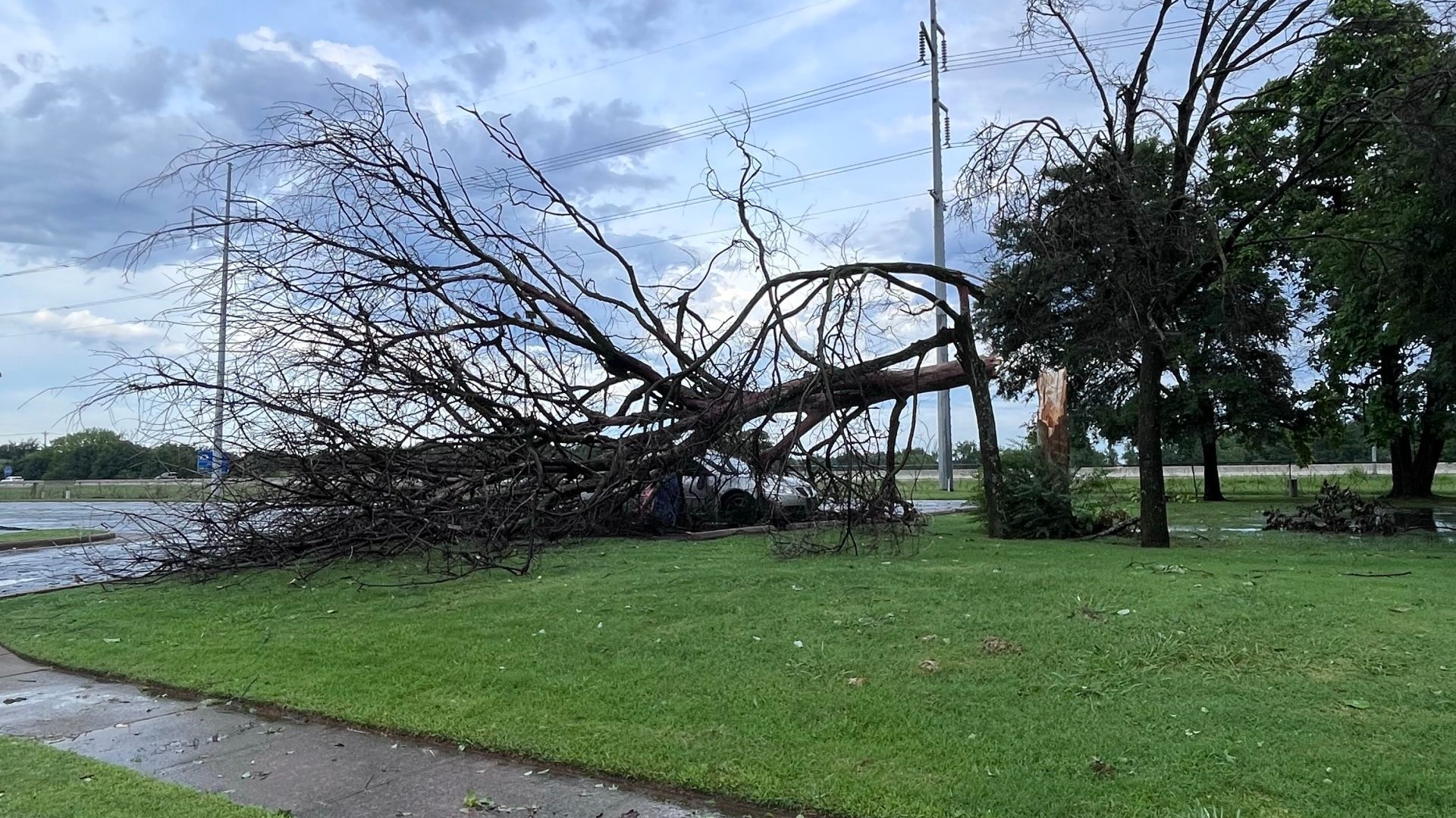 Check out these photos of severe weather damage near you | 5newsonline.com