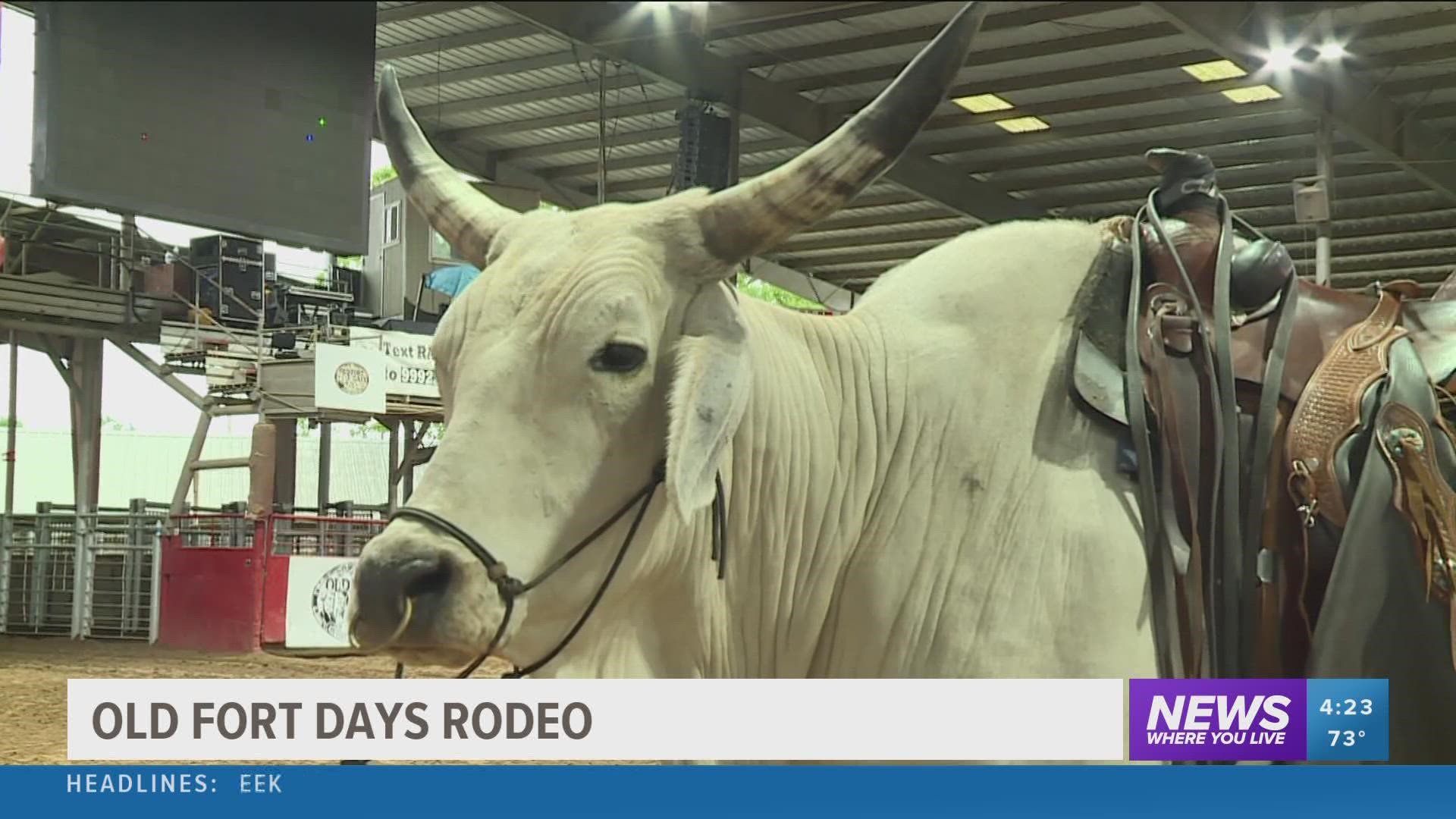 89th annual Old Fort Days Rodeo in full swing | 5newsonline.com