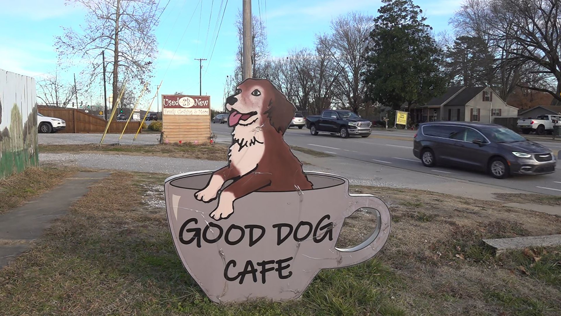 First dog-themed cafe in Fayetteville hosts weekly dog parties ...
