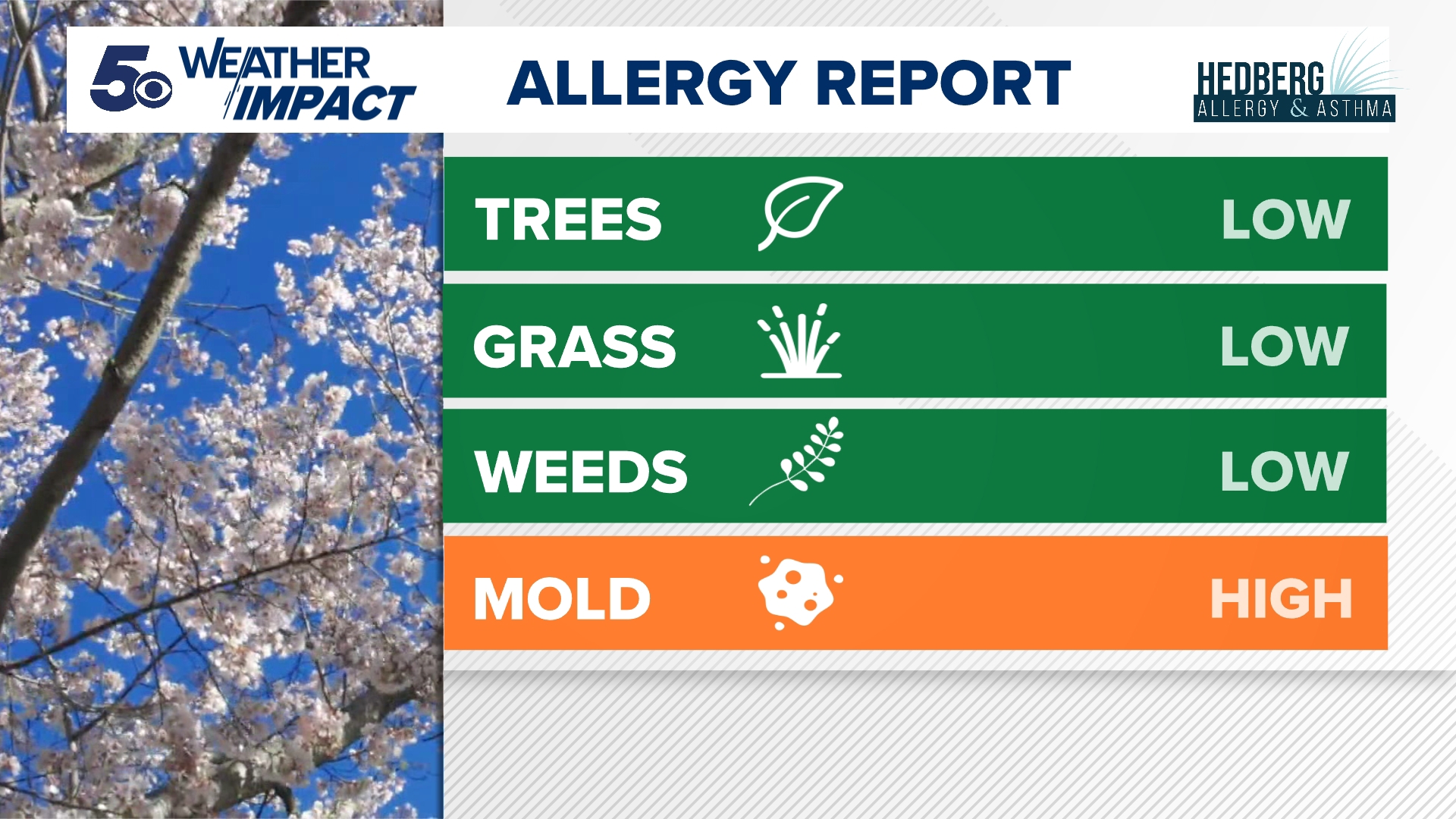 5NEWS Daily Weather Forecast | 5newsonline.com