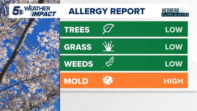5NEWS Daily Weather Forecast | 5newsonline.com