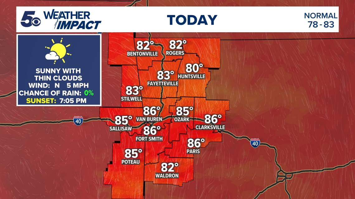 Tusk VI, the newest University of Arkansas razorback mascot ...