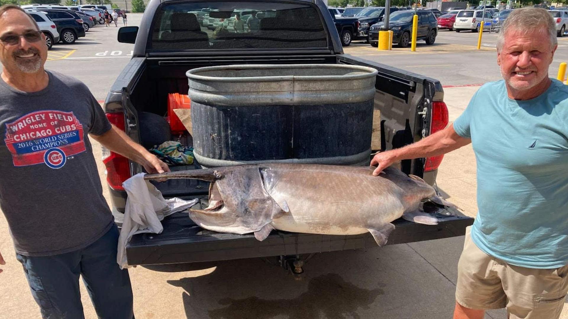 Arkansas angler reels in record-breaking paddlefish | 5newsonline.com