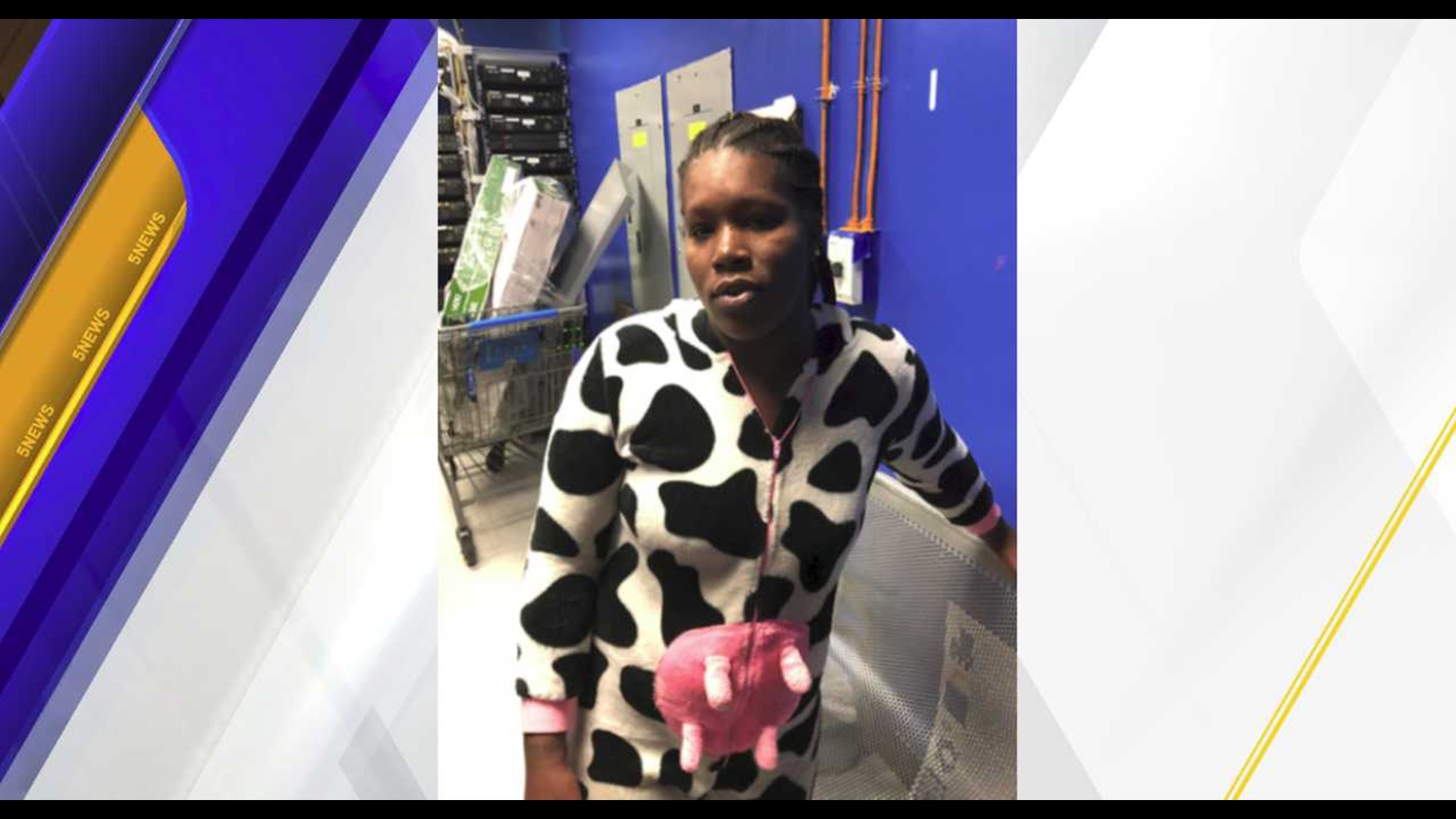 Arkansas Woman Wearing Cow Costume Arrested For Shoplifting Tells ...