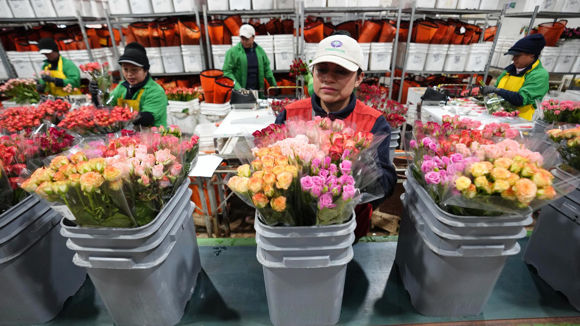 Mother's Day 2026 events in our area | 5newsonline.com