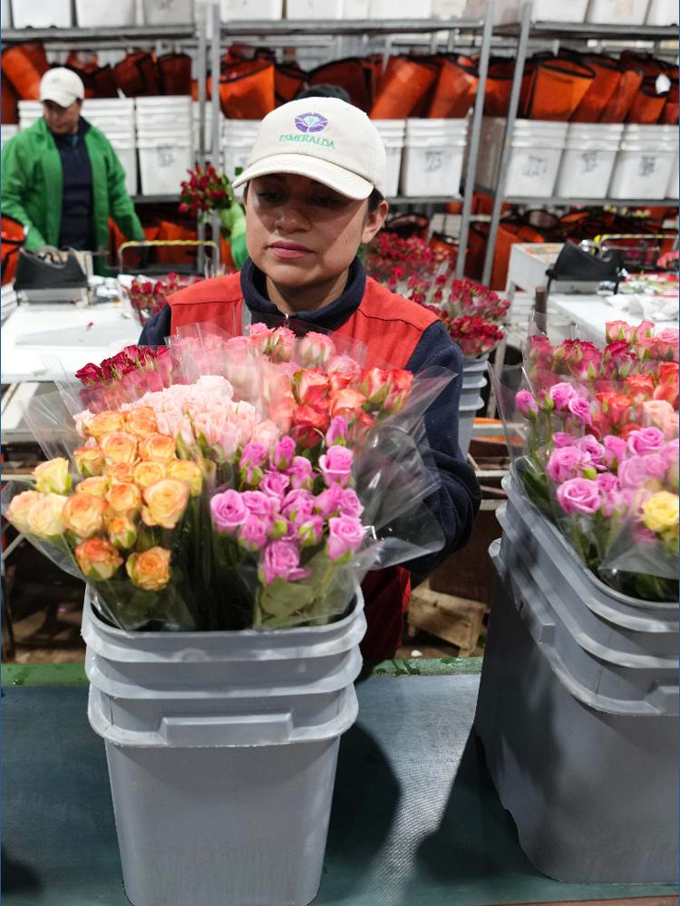 Mother's Day 2026 events in our area | 5newsonline.com