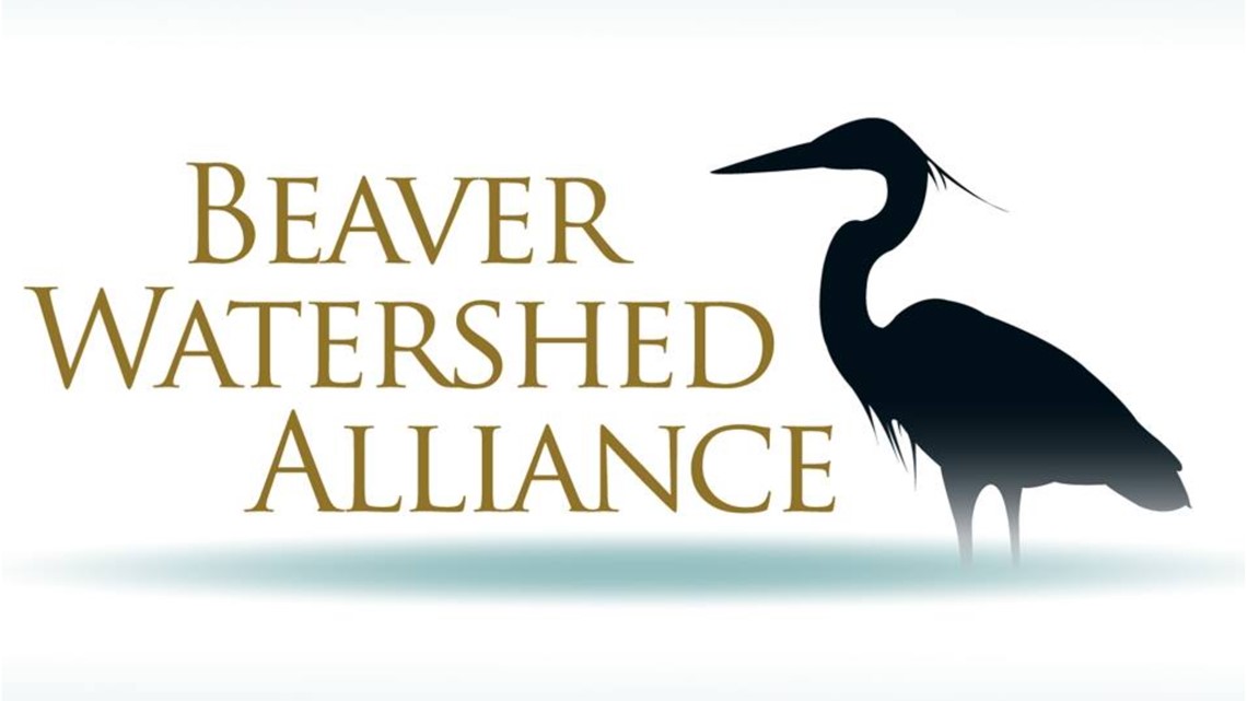 Beaver Watershed Alliance looking for volunteers to plant trees ...