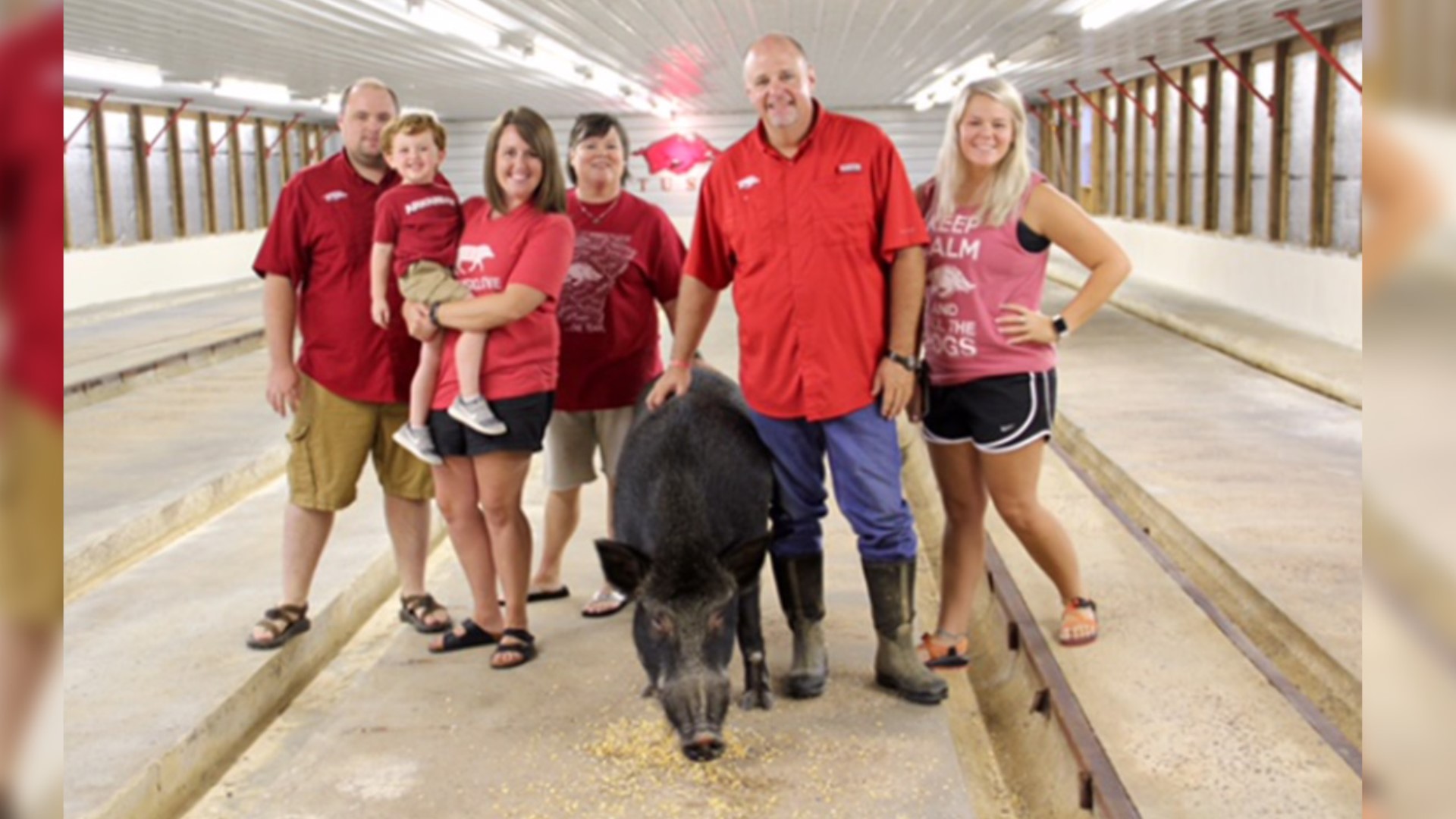 Razorback mascot caretaker has died | 5newsonline.com