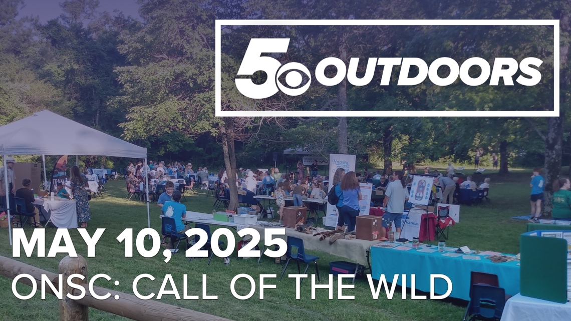 Four Joann stores closing in Arkansas after company's bankruptcy filing ...