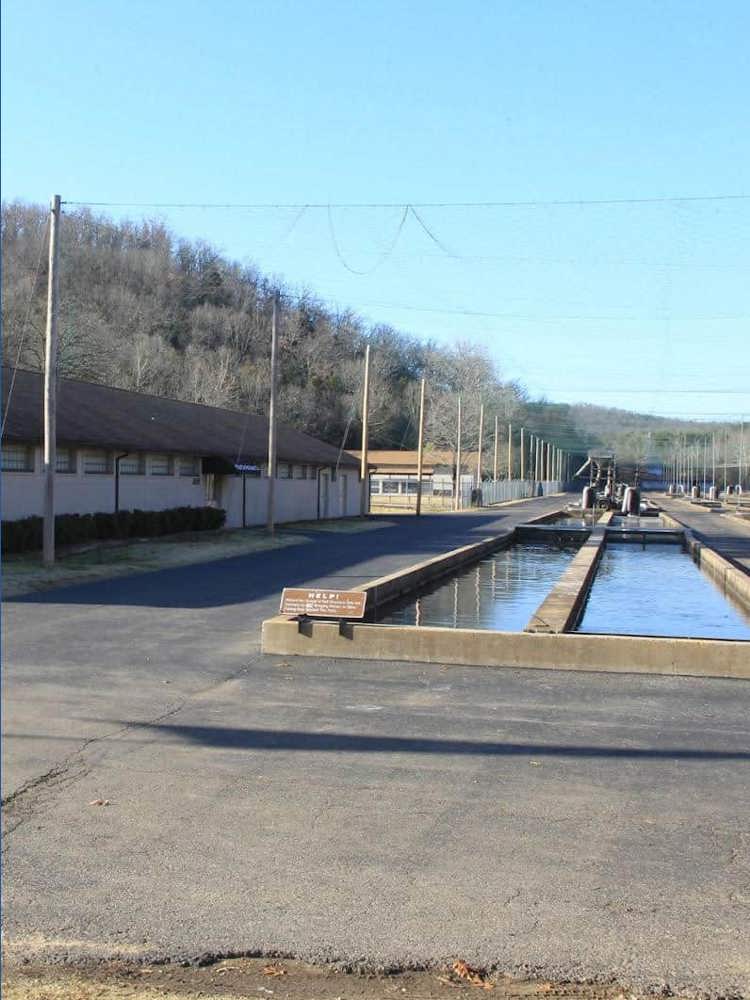 Arkansas trout fishing limits set amid hatchery crisis | 5OUTDOORS ...