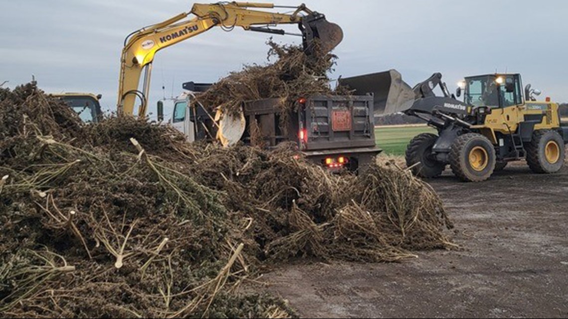 Largest marijuana bust in Oklahoma seizes 36 tons of weed | 5newsonline.com