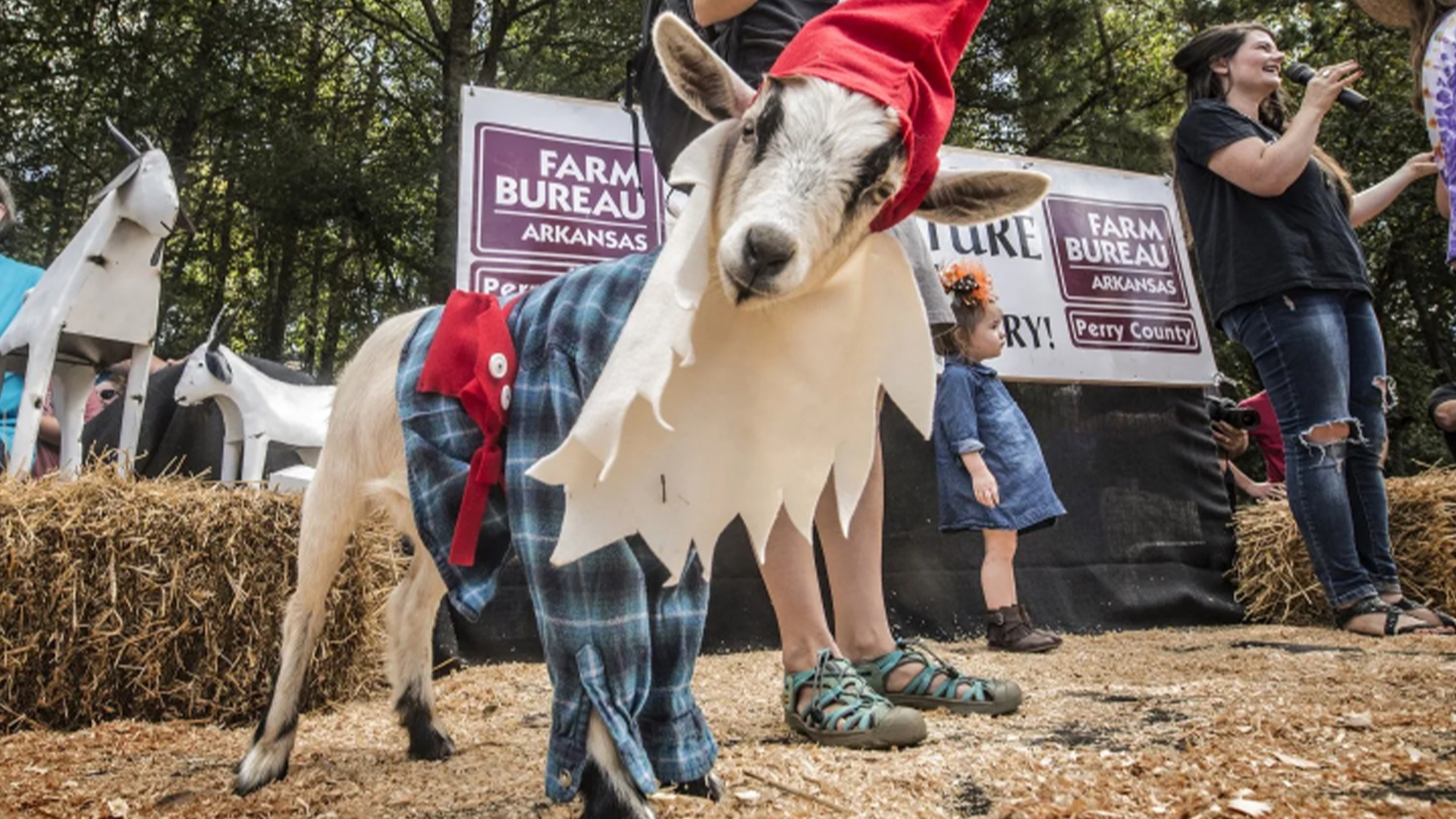 Arkansas Goat Fest events include lingerie show | What to expect | 5newsonline.com