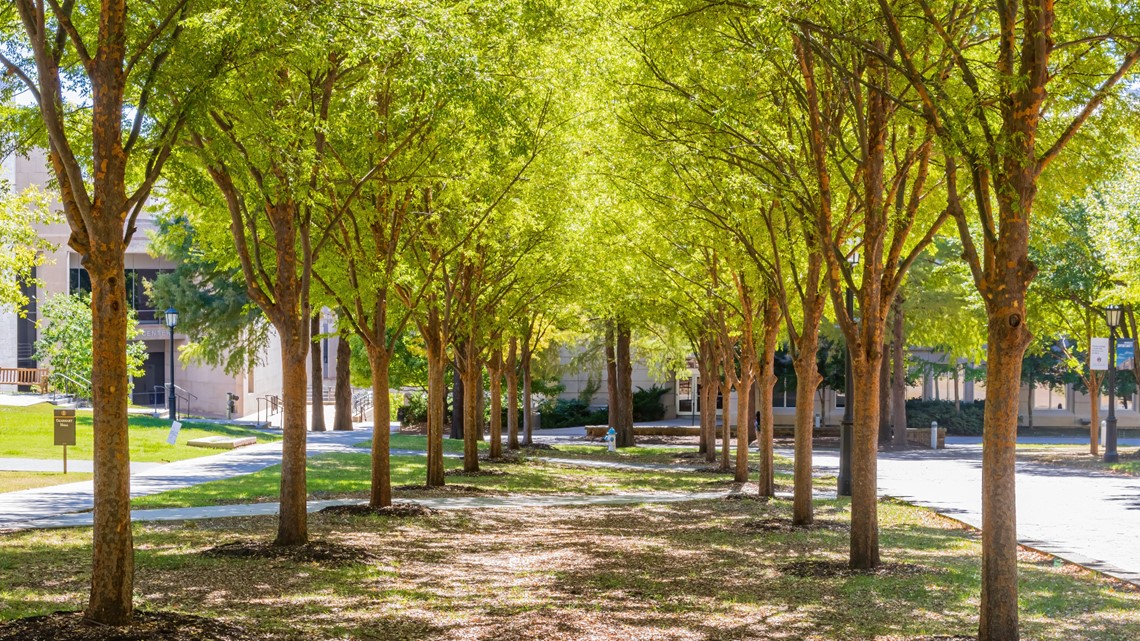 How Fayetteville residents can give input on Climate Action Plan ...