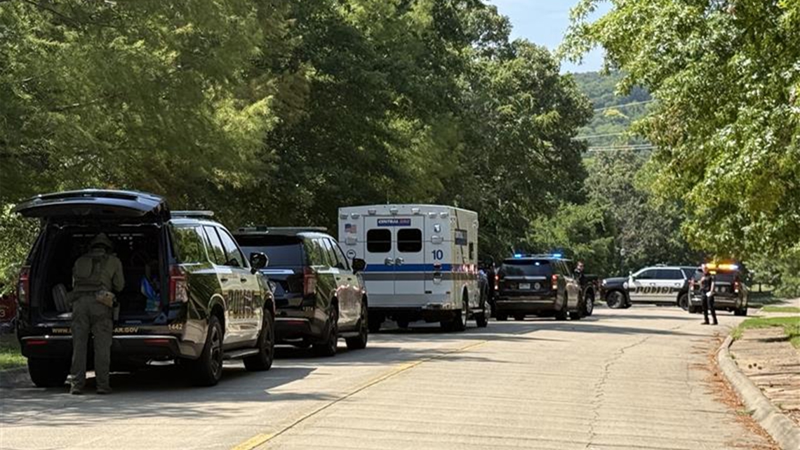 Tusk VI, the newest University of Arkansas razorback mascot ...