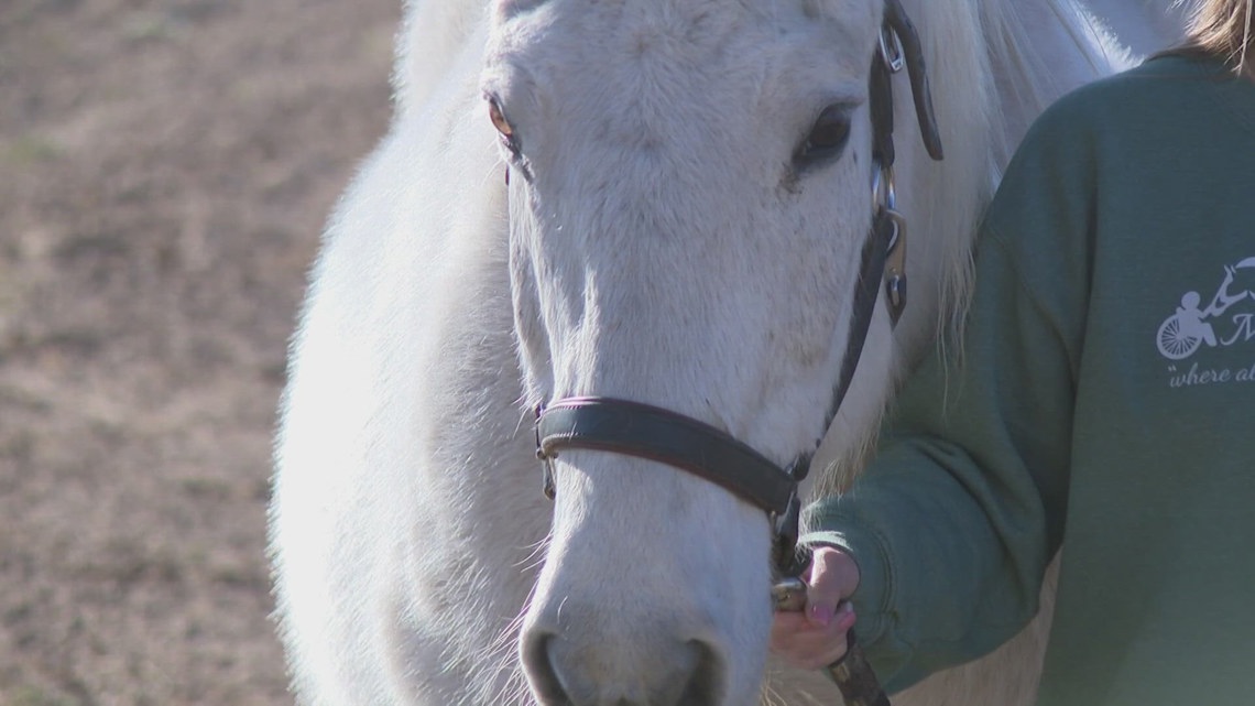 A local equine therapy program officially opens its new home ...