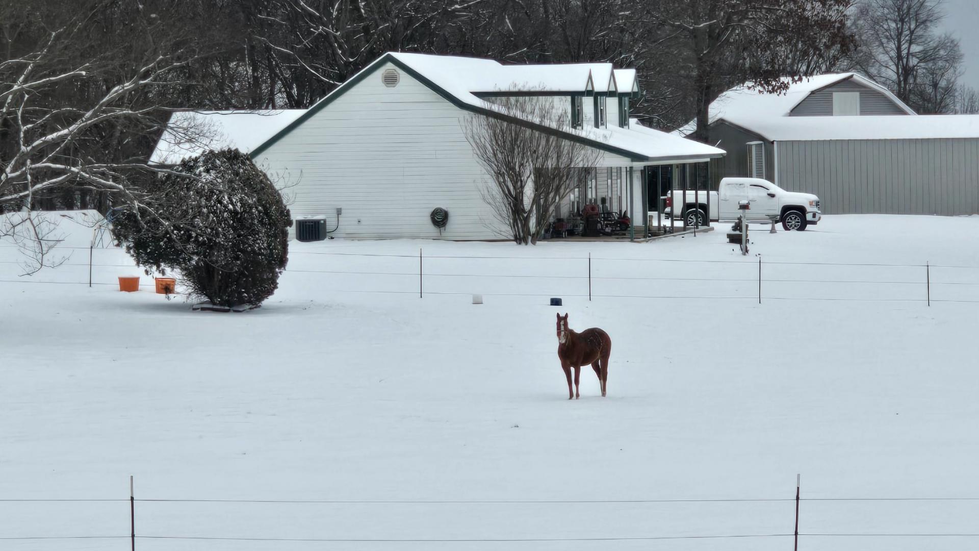 Photos: Winter fun continues into Monday for Arkansans | 5newsonline.com