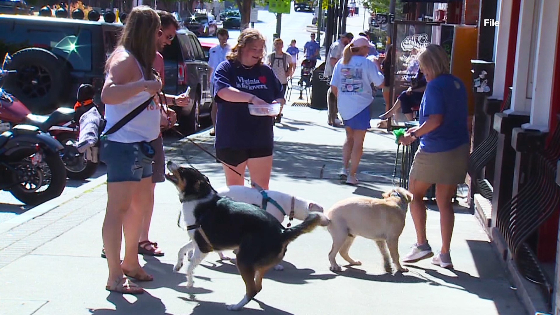 11th Annual Dickson Street Pup Crawl to be held in April | 5newsonline.com