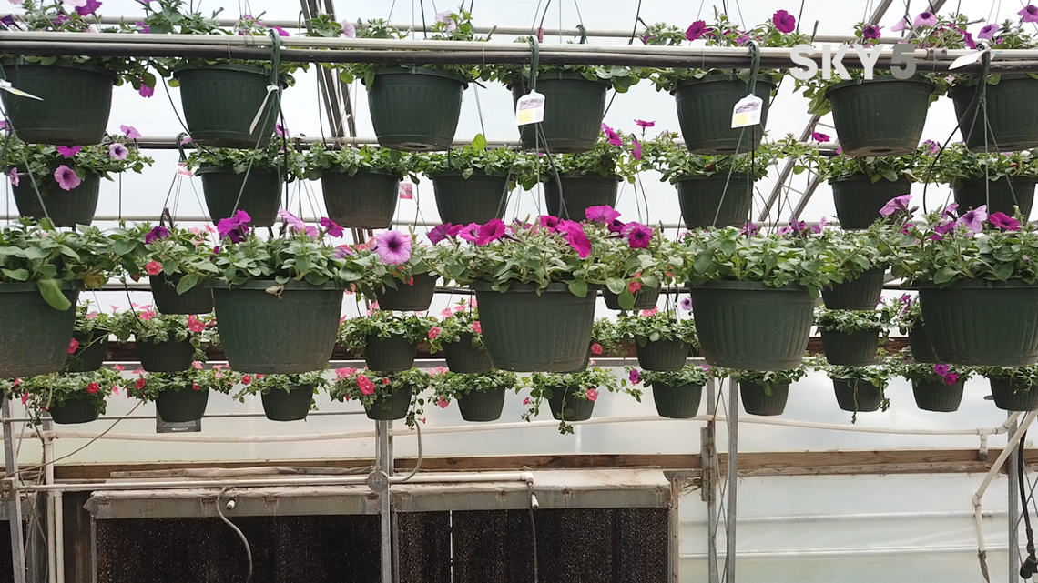 Adventure Arkansas: Spring Planting In The Natural State | 5newsonline.com