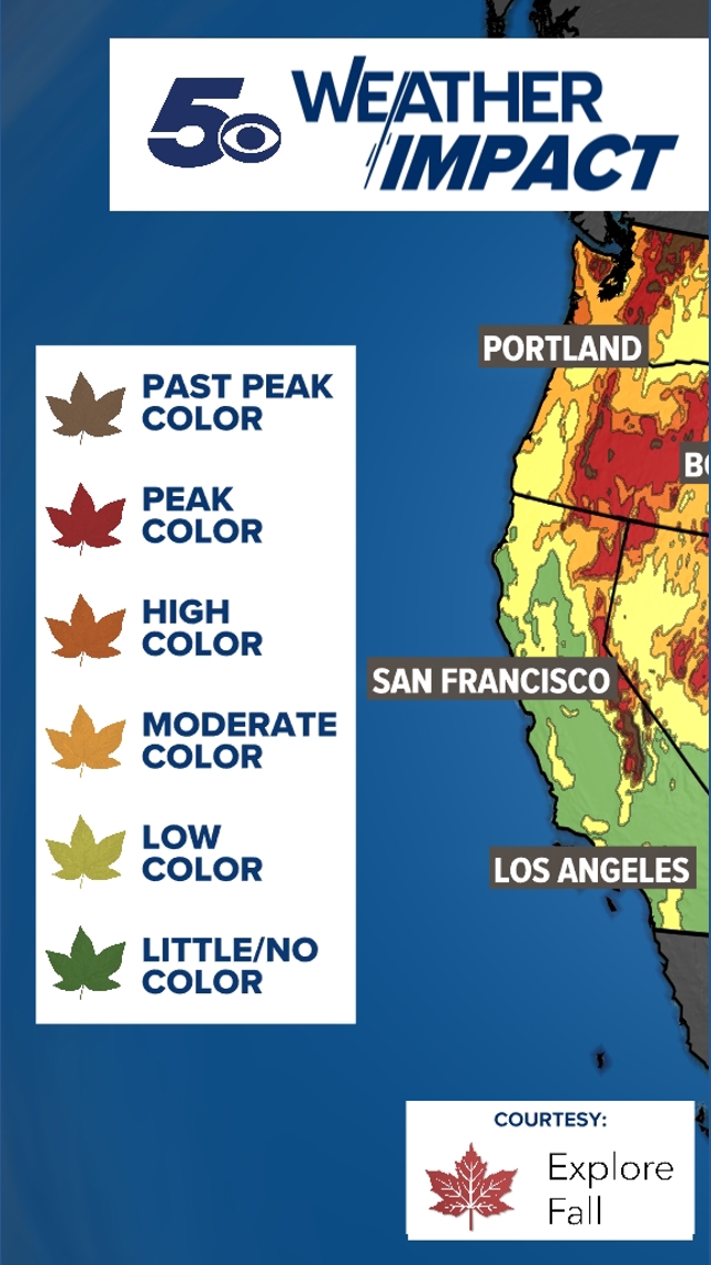 Here's when to expect Fall colors in our area | 5newsonline.com