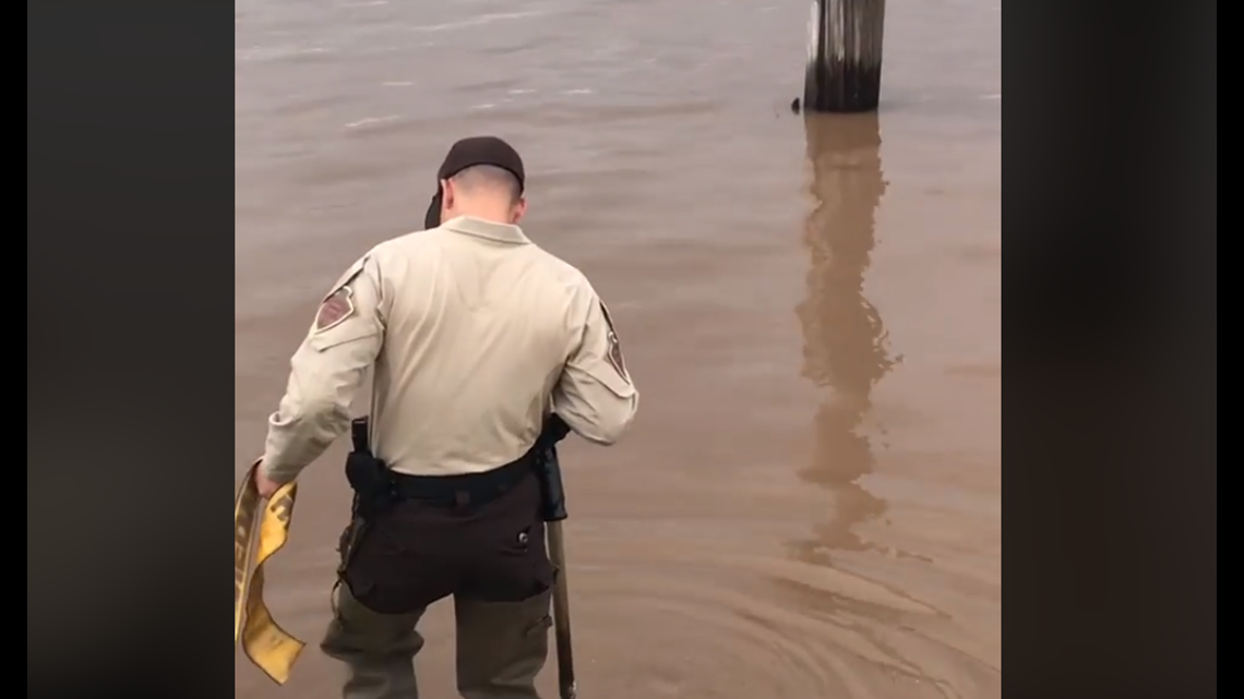 Oklahoma Troopers Rescue Baby River Otter Struggling In Roland Flood ...